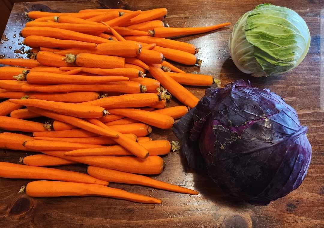 GAPS Diet Non-Fibrous Vegetables