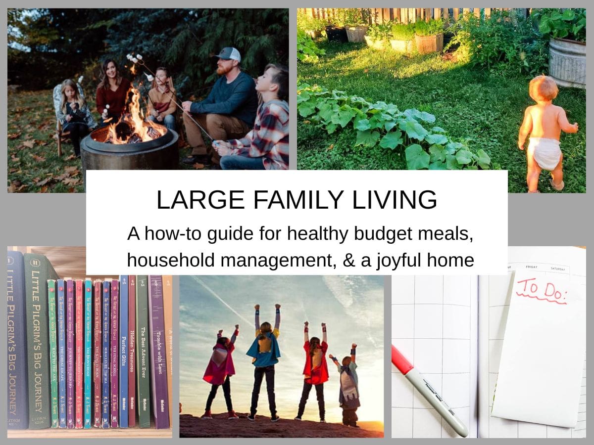 Large Family Living